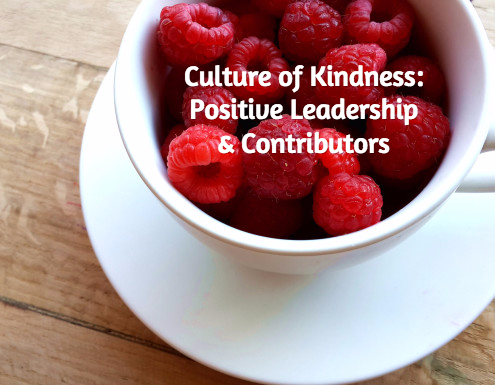 Appreciative Inquiry to build a Culture of Kindness - Marcella Bremer ...